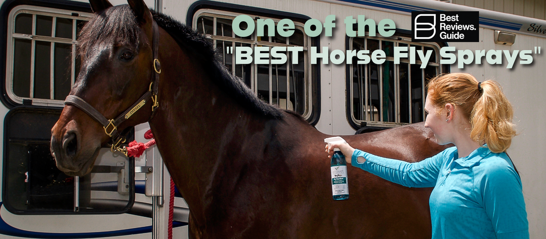 Fly Repellent Spray For Horses | Ecovet