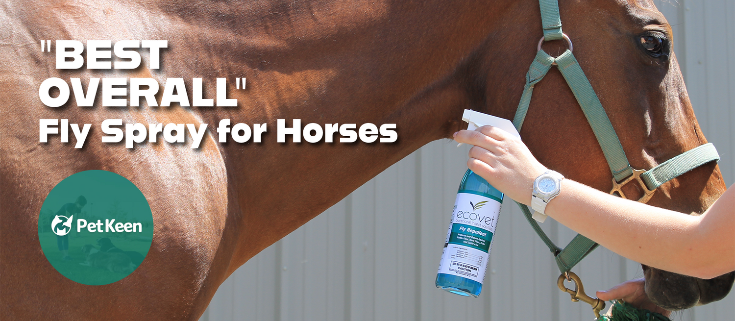 Fly Repellent Spray For Horses | Ecovet